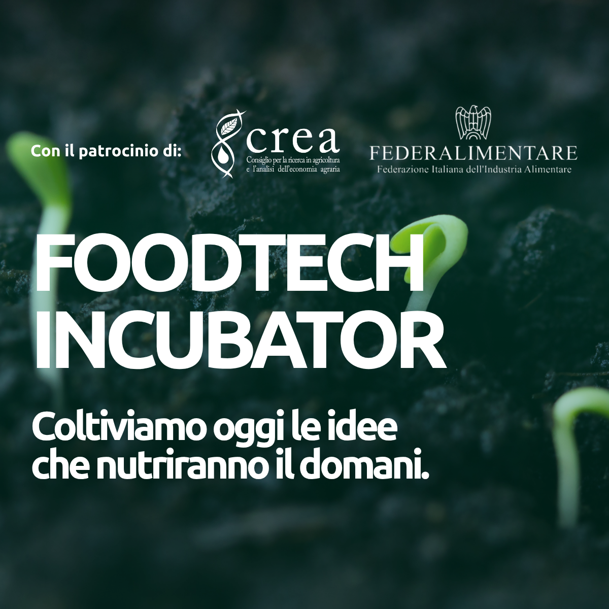 Foodtech - Verona Agrifood Innovation Hub